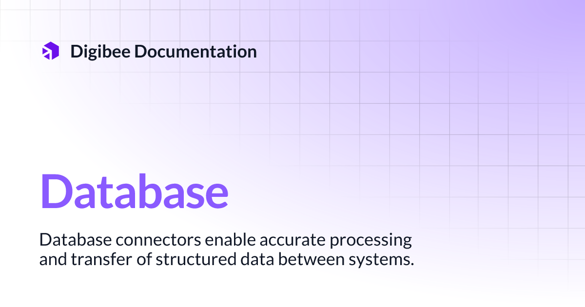 Database | Digibee Documentation