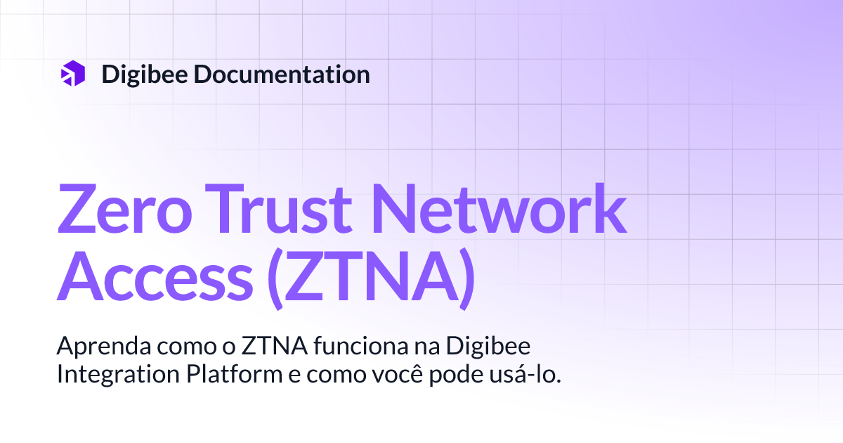 Zero Trust Network Access (ZTNA) | Digibee Documentation