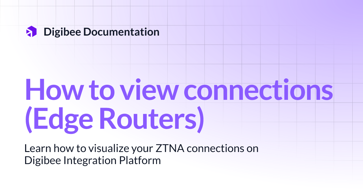 How to view connections (Edge Routers) | Digibee Documentation