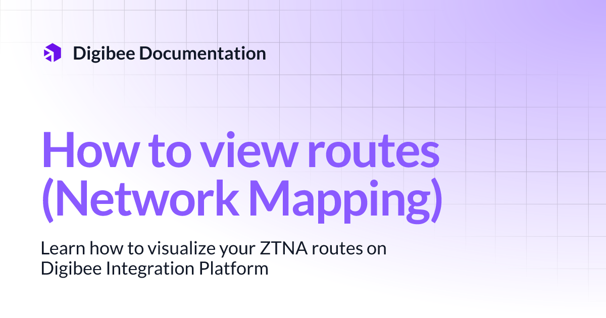 How to view routes (Network Mapping) | Developer Guide | Digibee ...