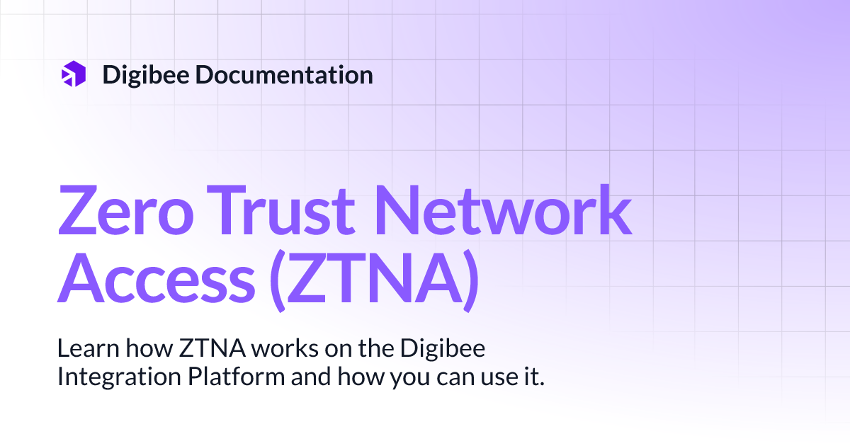 Zero Trust Network Access (ZTNA) | Developer Guide | Digibee Documentation