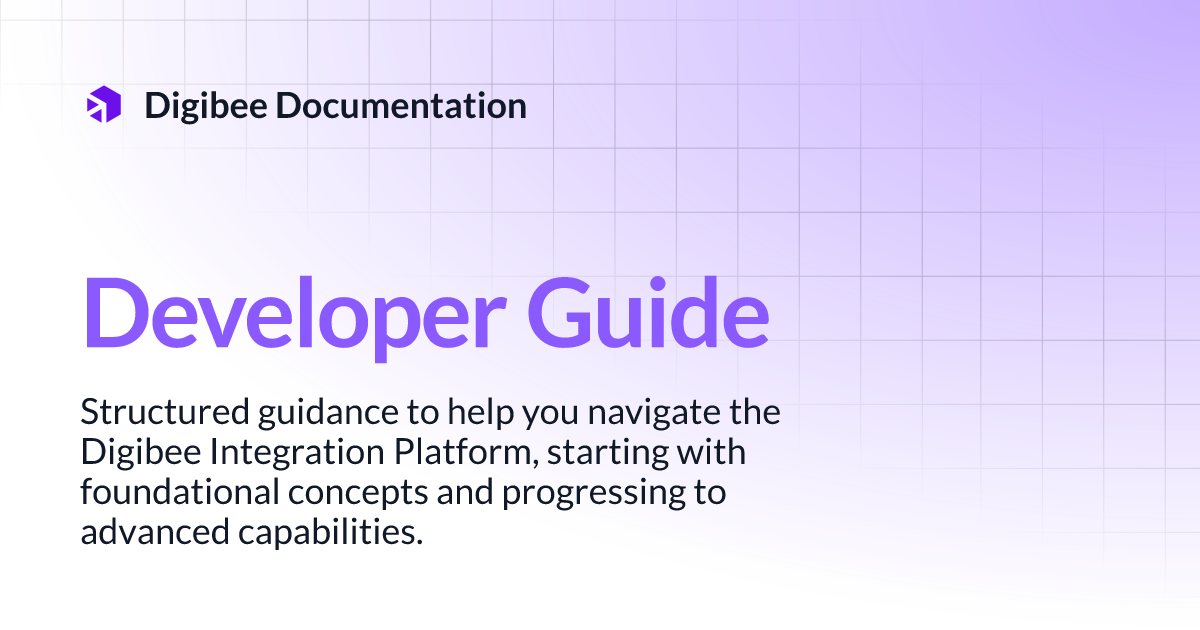 Developer Guide | Digibee Documentation