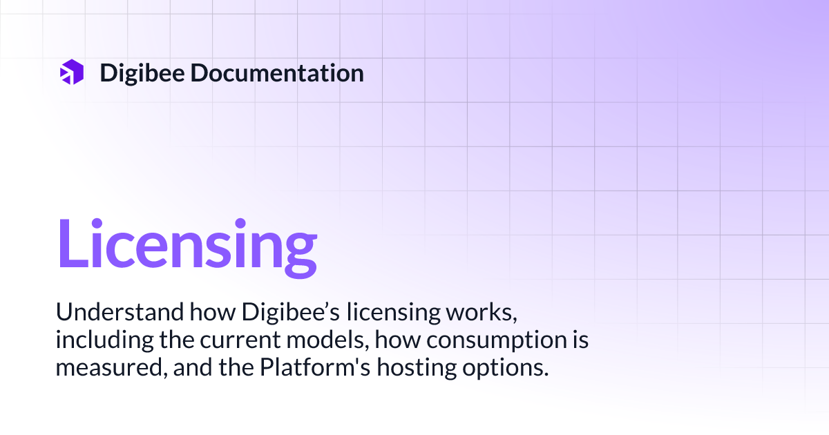 Licensing | Digibee Documentation